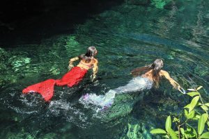 Success with Buhner’s Protocol for Lyme Disease – Real Food Rebel